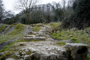 Downhill Trails – 417 Bike Park